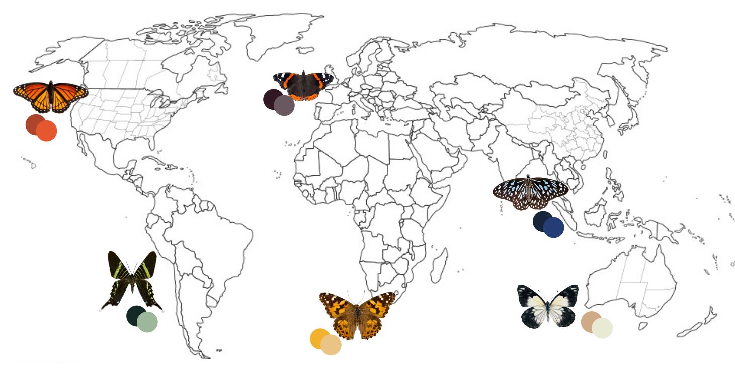The SolarButterfly's News Communication Strategy - SOLAR BUTTERFLY
